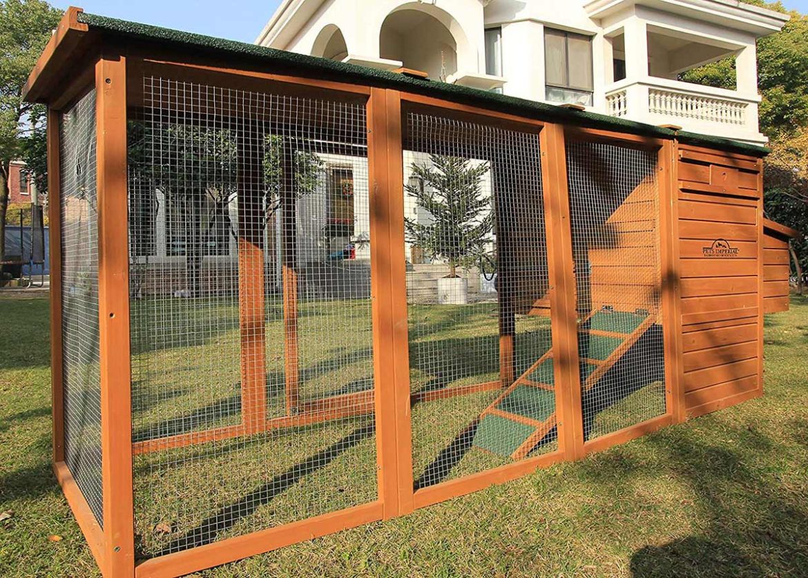 Moveable Chicken Coop Designs to Inspire Your Creativity